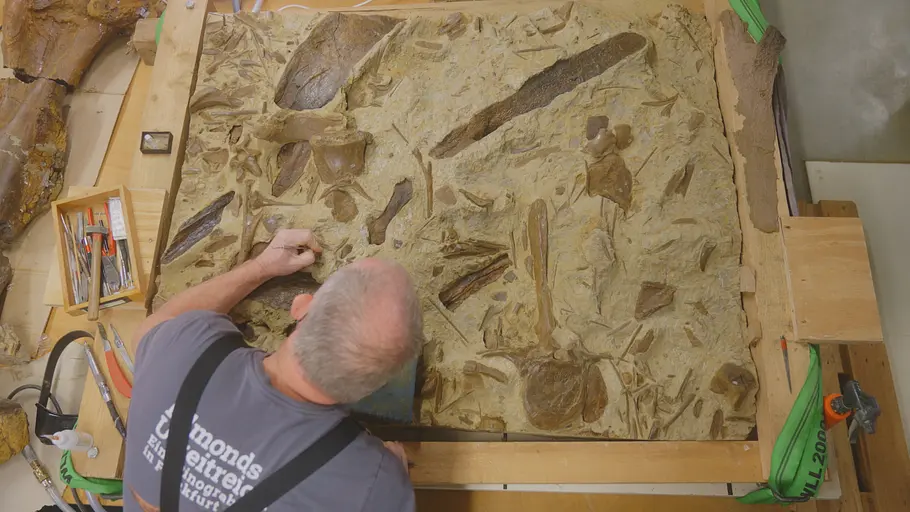 Schicksalsplanet - Katastrophen der Erdgeschichte am 02. Januar 2026 um ...