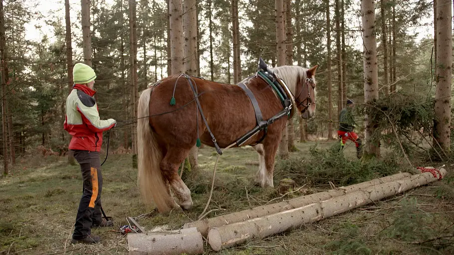 Winter rund um die Seetaler Alpen am 05. Januar 2026 um 11:00 Uhr auf ...