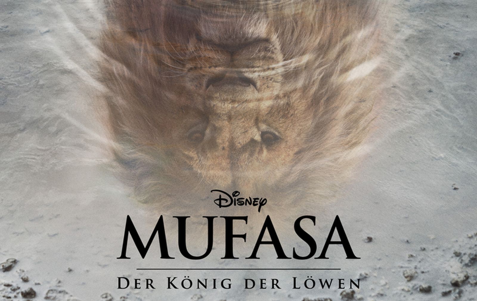 Filmstarts: Das sind die Kinofilme im Dezember 2024!