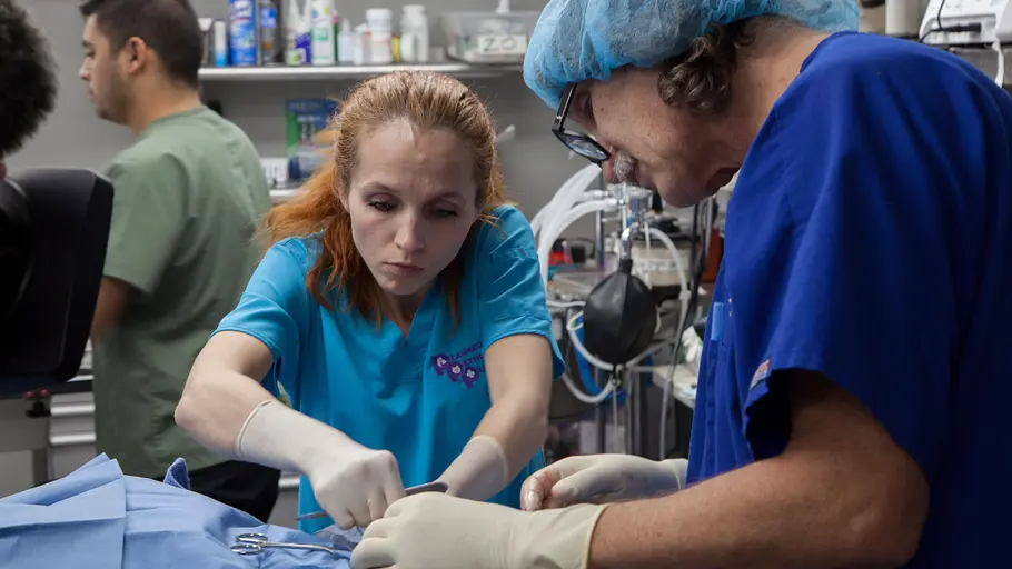 Tierarzt Dr. Jeff am 16. Januar 2026 um 07:00 Uhr auf TLC - TV Movie