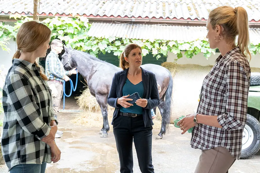 Der Staatsanwalt am 01. Februar 2026 um 20:15 Uhr auf Sky Krimi HD - TV ...