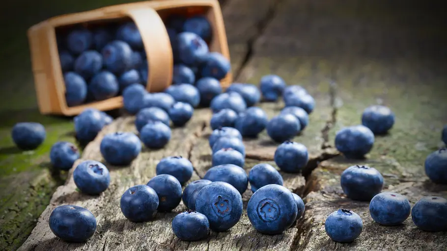 Markt am 20. Januar 2026 um 00:40 Uhr auf NDR - TV Movie