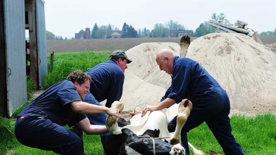 Der unglaubliche Dr. Pol am 12. Januar 2026 um 02:20 Uhr auf Nat Geo ...