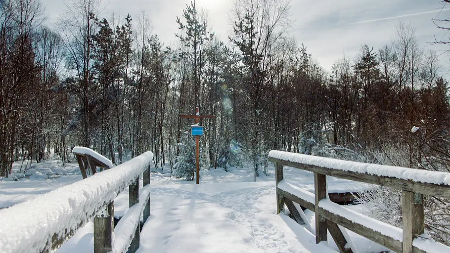 Unter unserem Himmel am 31. Dezember 2025 um 06:00 Uhr auf BR - TV Movie