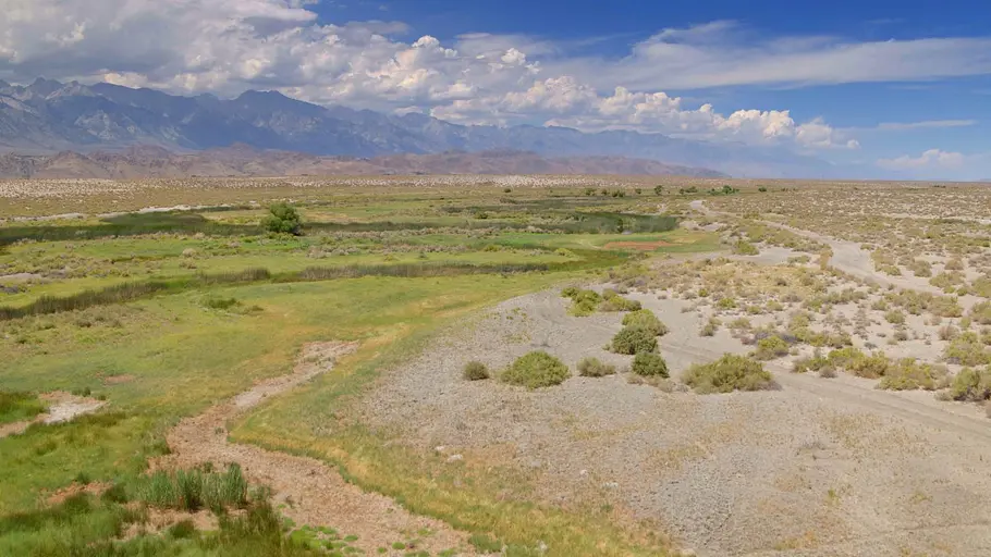 Rätselhafte Phänomene am 15. Januar 2026 um 03:20 Uhr auf NTV - TV Movie