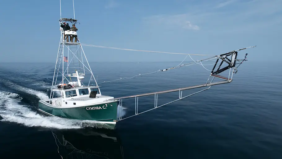 Harpoon Hunters am 22. Juni 2026 um 14:15 Uhr auf DMAX - TV Movie