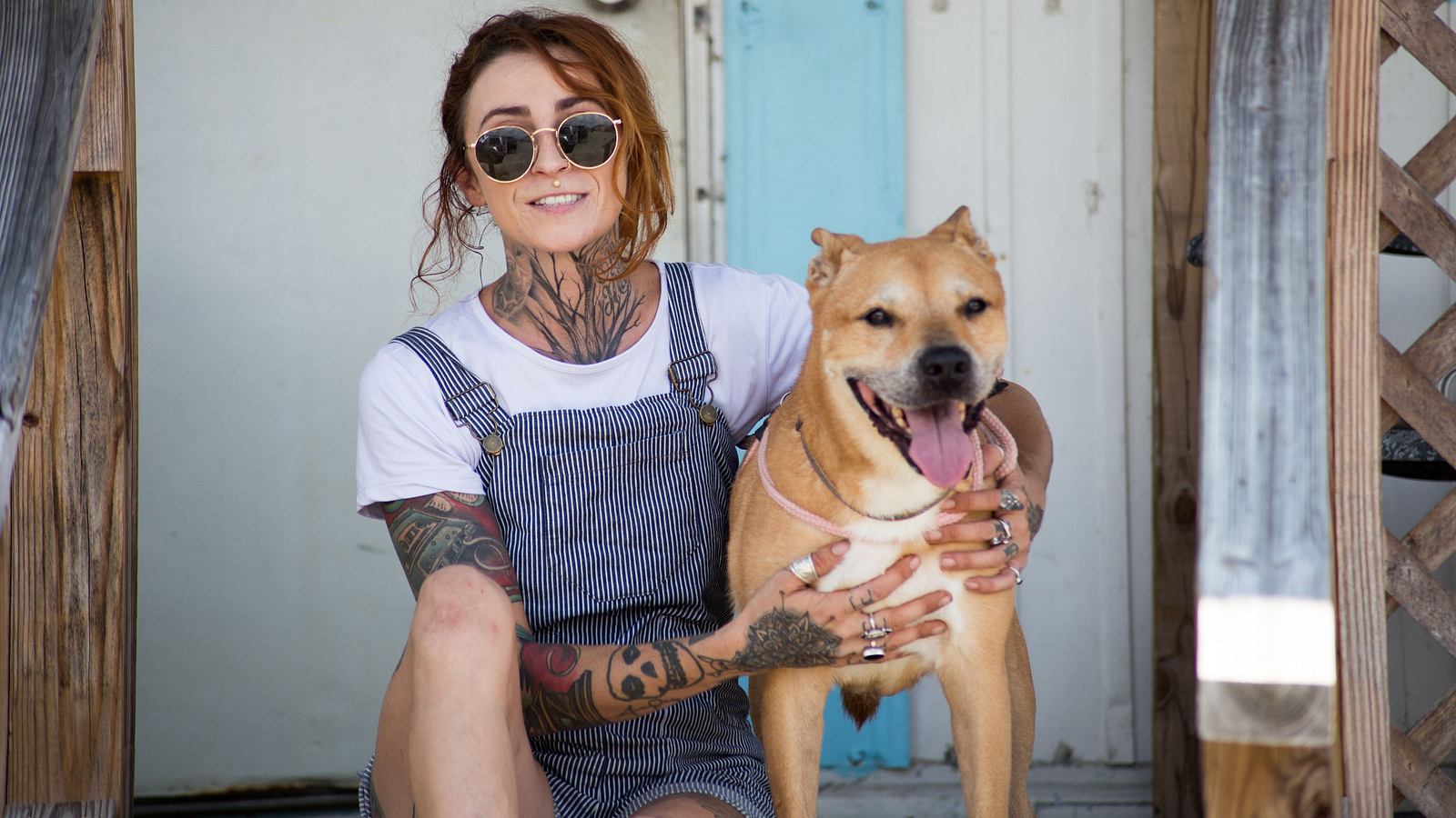 Pitbulls auf Bewährung am 24. Mai 2026 um 00:50 Uhr auf ANIMAL PLANET ...