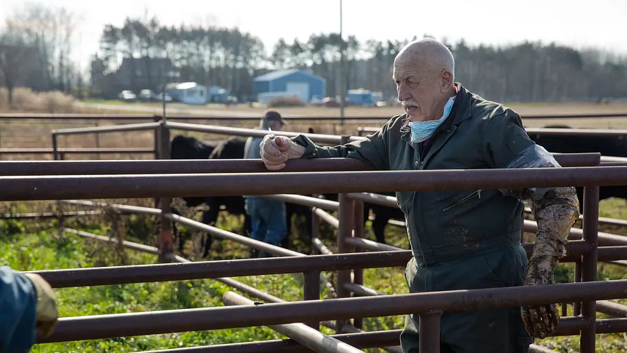 Der unglaubliche Dr. Pol am 31. Dezember 2025 um 06:15 Uhr auf Nat Geo ...