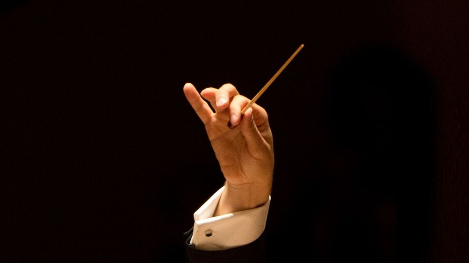 Brahms: Trio for clarinet, piano and cello - Wenzel Fuchs, Elena ...