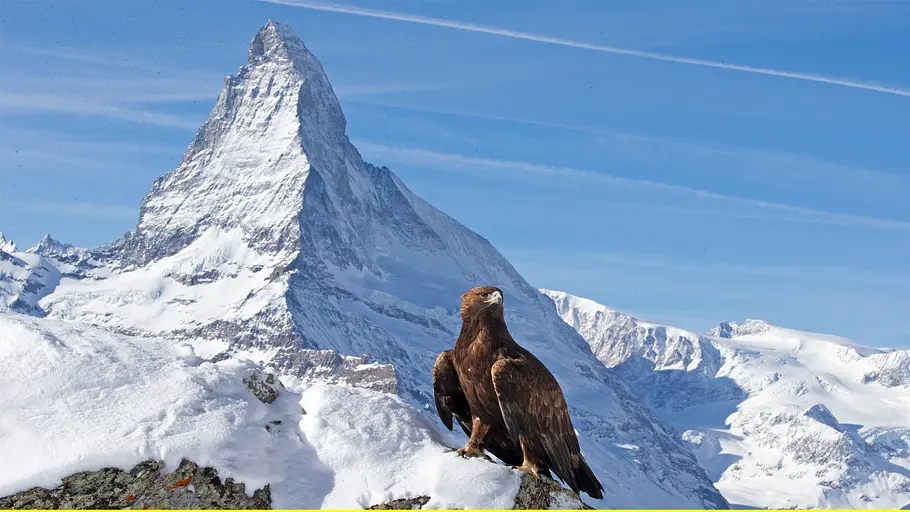 Die Alpen am 14. Juni 2026 um 20:15 Uhr auf RBB - TV Movie