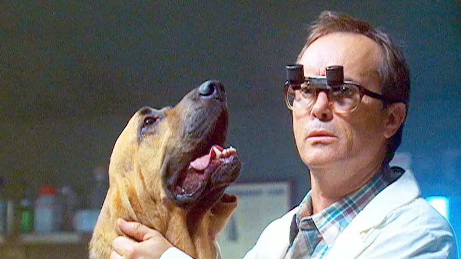 CSI: Den Tätern auf der Spur am 02. Januar 2026 um 00:45 Uhr auf RTL ...