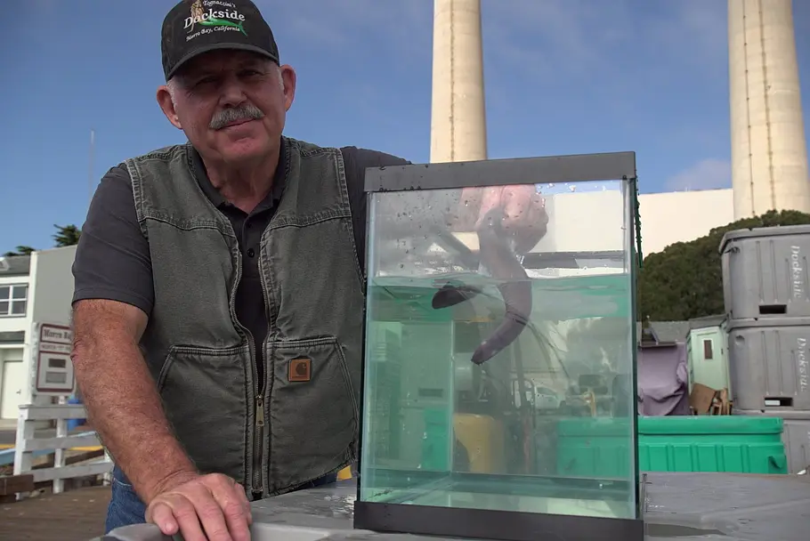 Die Superkräfte der Tiere am 25. Januar 2026 um 05:20 Uhr auf ANIMAL ...