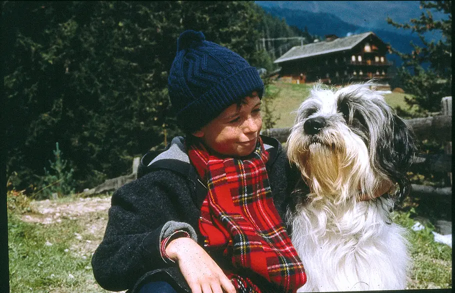 Weihnachten mit Willy Wuff am 27. Dezember 2025 um 22:25 Uhr auf RTL ...