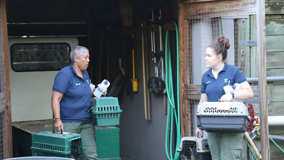 Bronx Zoo - Tierpark der Superlative am 27. Mai 2026 um 14:10 Uhr auf ...