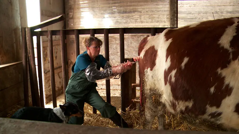 Der unglaubliche Dr. Pol am 11. Januar 2026 um 18:40 Uhr auf Nat Geo ...