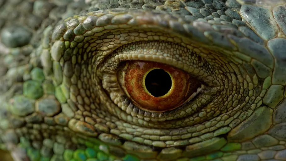 Ancient Aliens - Unerklärliche Phänomene am 31. Dezember 2025 um 04:10 ...