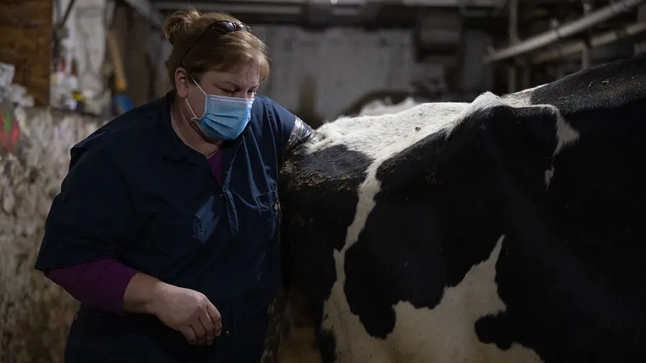 Der unglaubliche Dr. Pol am 02. Januar 2026 um 14:00 Uhr auf Nat Geo ...