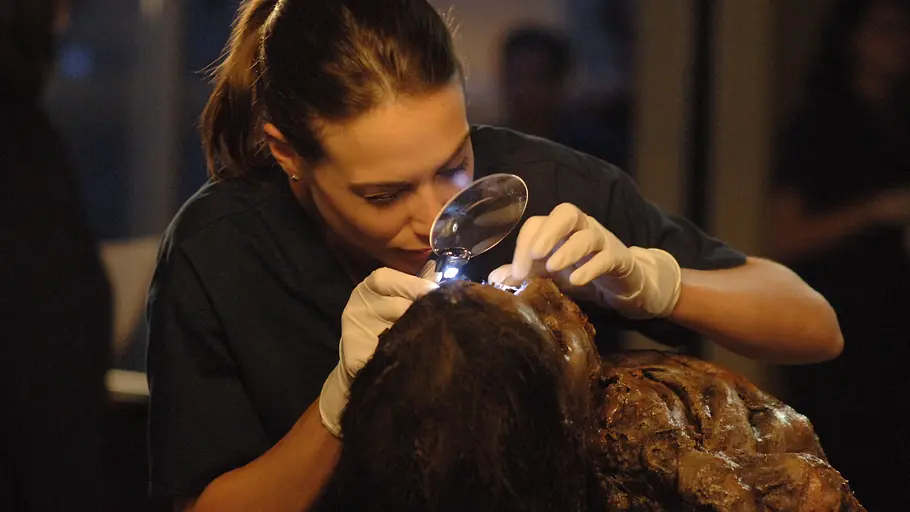 CSI: NY am 27. Dezember 2025 um 16:50 Uhr auf RTL Crime - TV Movie