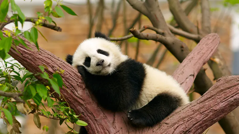 3satThementag: Naturwunder Erde / Terra X am 01. Februar 2026 um 09:40 ...