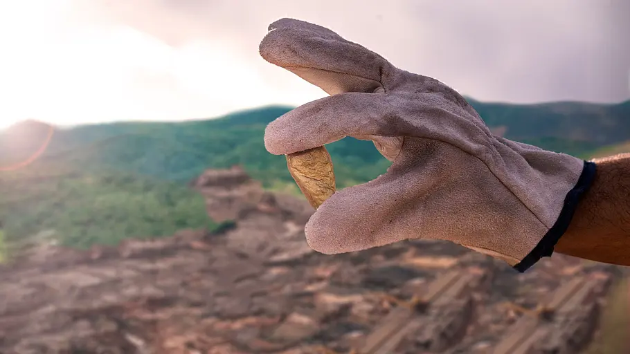 Australian Gold - Schatzsuche Down Under am 14. Januar 2026 um 13:15 ...