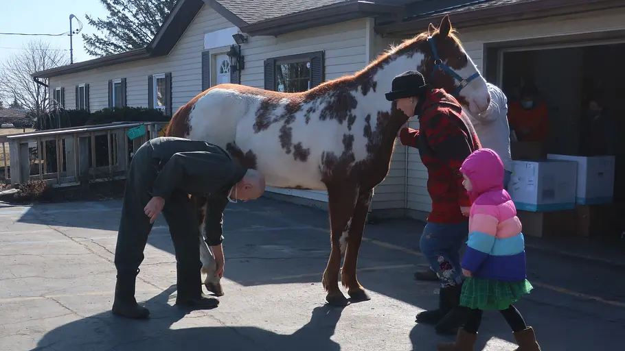 Der unglaubliche Dr. Pol am 14. Januar 2026 um 16:30 Uhr auf Nat Geo ...