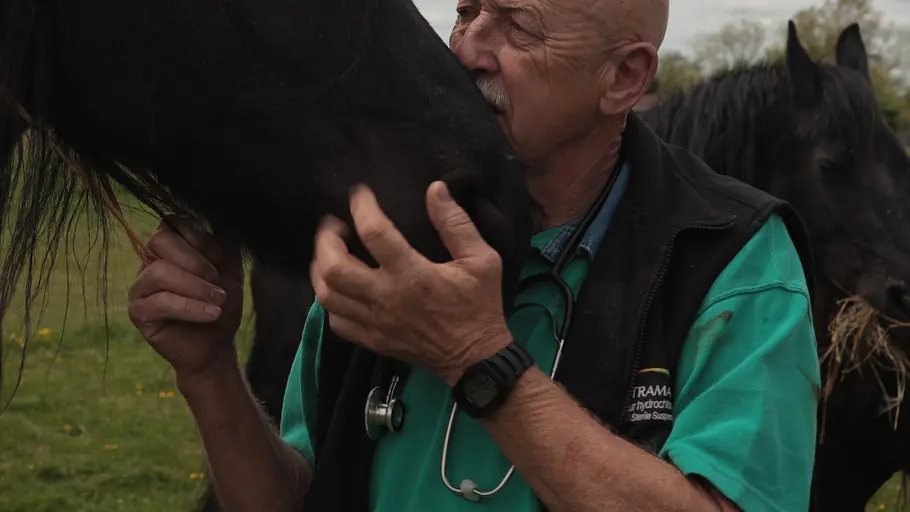 Der unglaubliche Dr. Pol am 02. Januar 2026 um 08:40 Uhr auf Nat Geo ...