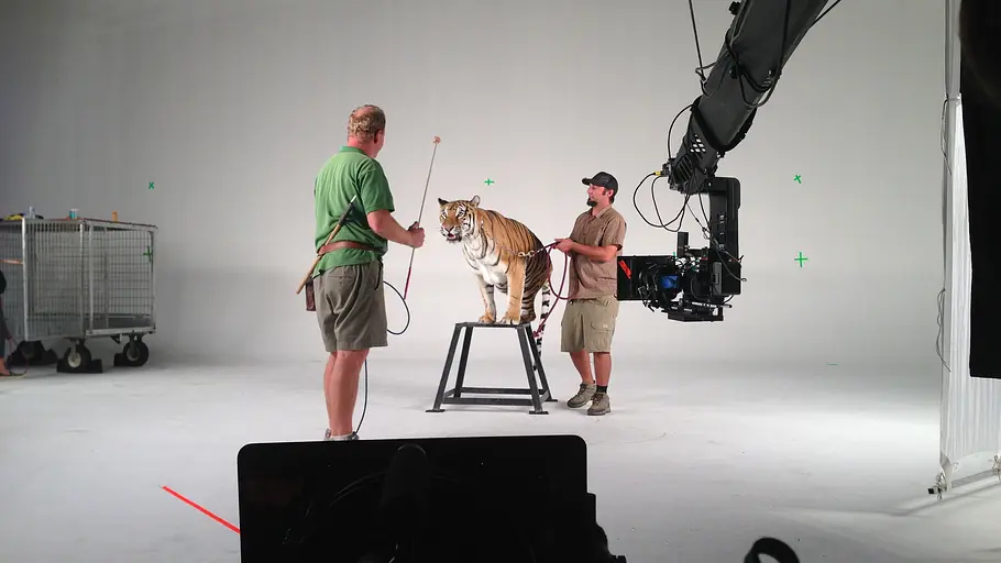 Die Zaubertricks der Tiere am 03. Januar 2026 um 23:15 Uhr auf Nat Geo ...