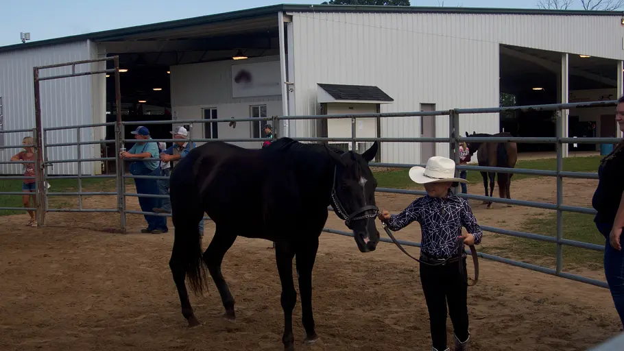 The Neighborhood am 28. Dezember 2025 um 04:45 Uhr auf PRO 7 - TV Movie