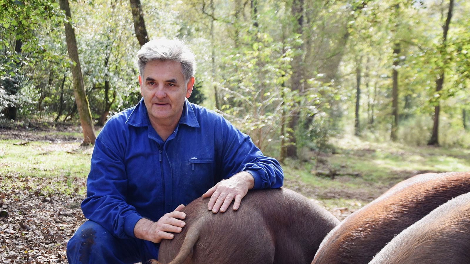 Zu Tisch ... am 12. Januar 2026 um 09:20 Uhr auf SF 1 - TV Movie