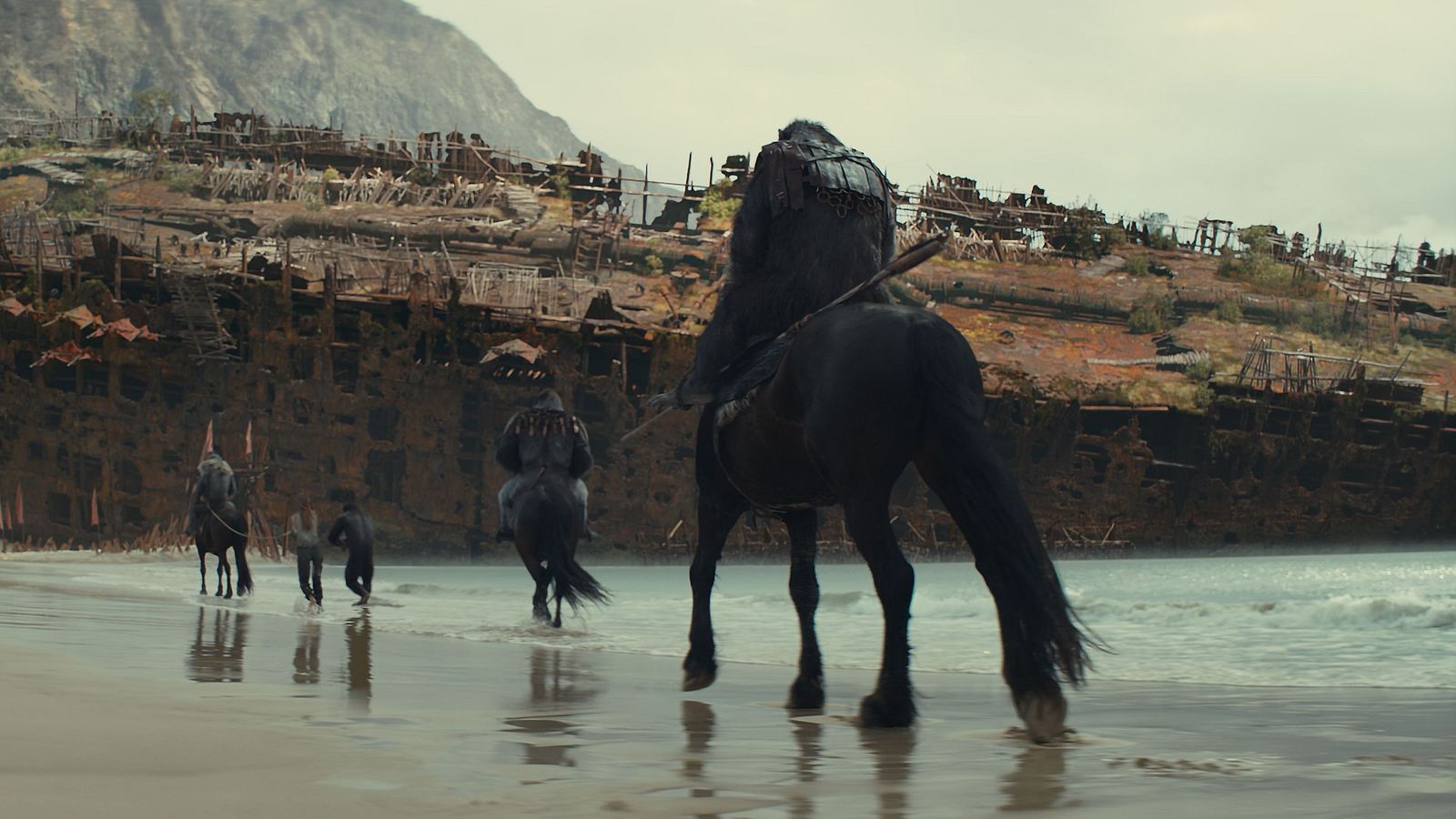 Planet der Affen: New Kingdom am 03. Februar 2026 um 12:25 Uhr auf Sky ...