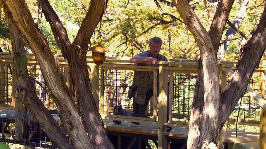 Die Baumhaus-Profis am 27. Mai 2026 um 05:00 Uhr auf ANIMAL PLANET - TV ...