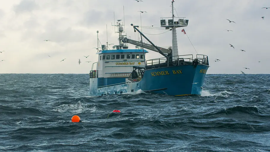 Fang des Lebens - Der gefährlichste Job Alaskas am 07. Januar 2026 um ...
