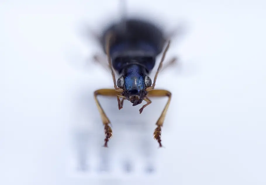 Wunder der Wissenschaft am 17. Januar 2026 um 21:00 Uhr auf ZDFinfo ...