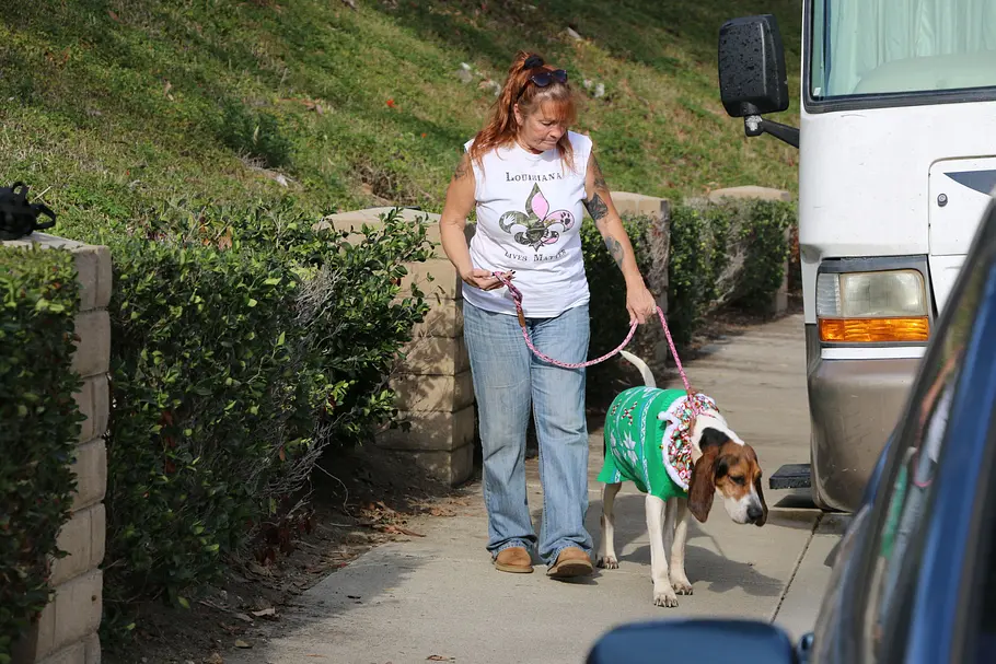 Pitbulls auf Bewährung am 24. Mai 2026 um 06:00 Uhr auf TLC - TV Movie