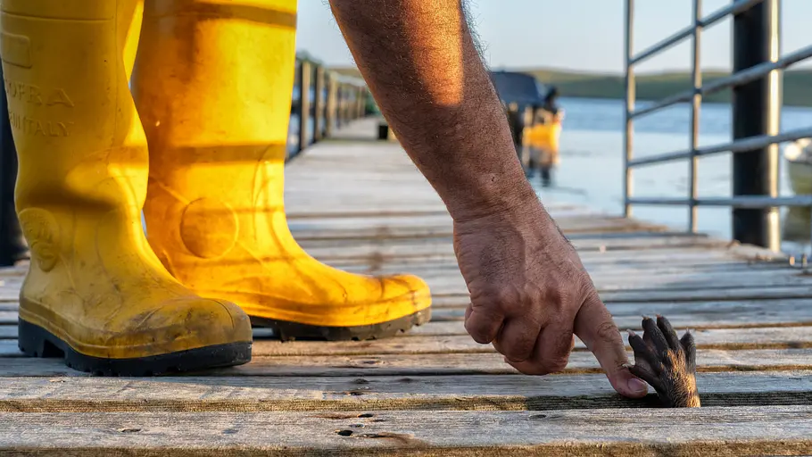 Billy & Molly: Eine Liebe zwischen Mensch und Otter am 28. Dezember ...