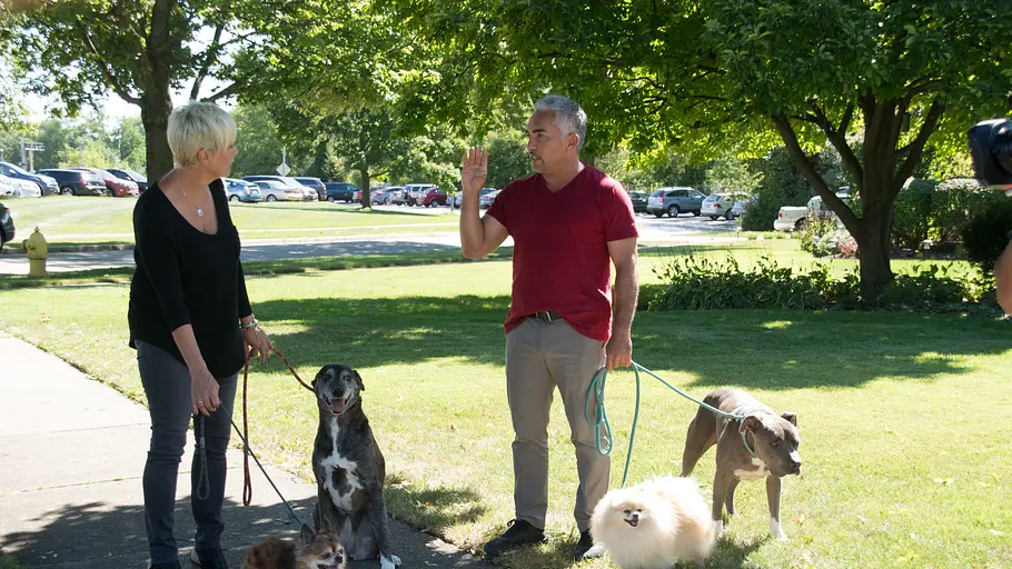 Der unglaubliche Dr. Pol am 02. Januar 2026 um 23:20 Uhr auf Nat Geo ...