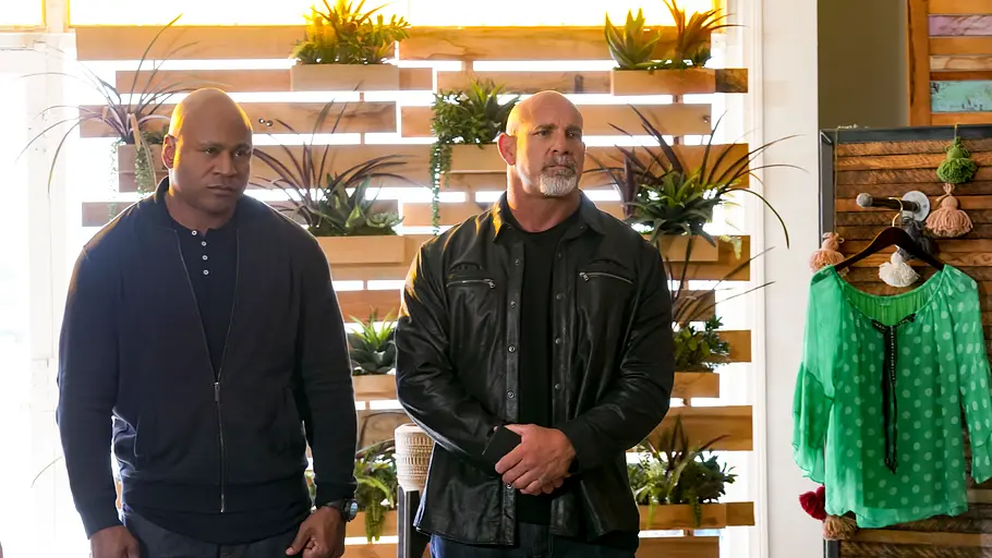 Navy CIS: L.A. am 24. Januar 2026 um 13:25 Uhr auf Warner TV Serie - TV ...