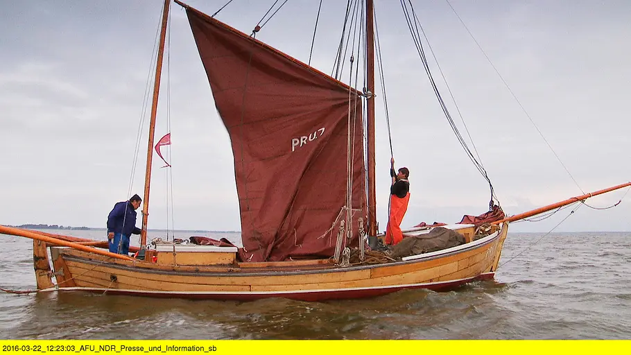 Land zwischen Belt und Bodden am 03. Januar 2026 um 14:05 Uhr auf 3SAT ...