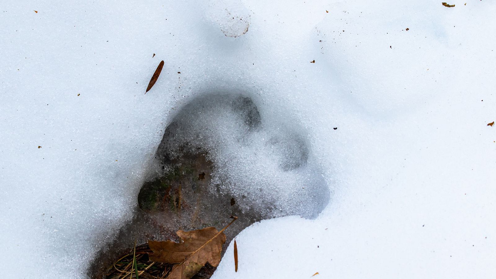 Geheimnisvolle Phänomene am 02. Januar 2026 um 22:40 Uhr auf Kabel eins ...