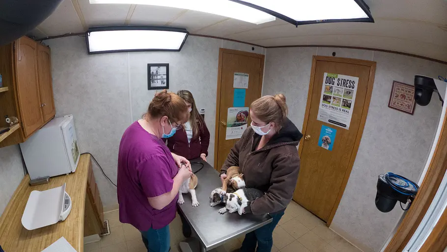 Der unglaubliche Dr. Pol am 02. Januar 2026 um 14:00 Uhr auf Nat Geo ...