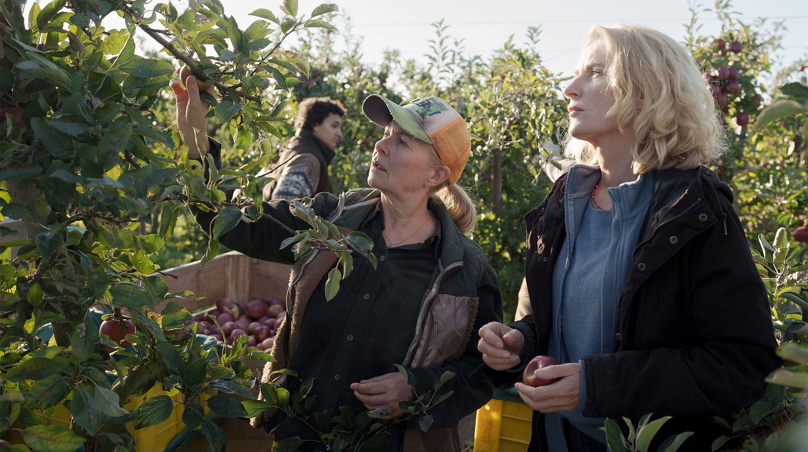 „Tatort“ heute in der ARD: „Letzte Ernte“ aus Hannover diesmal ohne „Black Panther“-Star